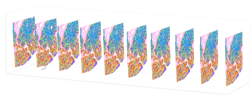 G4X In Situ Multiomics